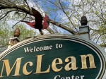 McLean Mystery Bird Sign Scavenger Hunt – Amy Linn Doherty