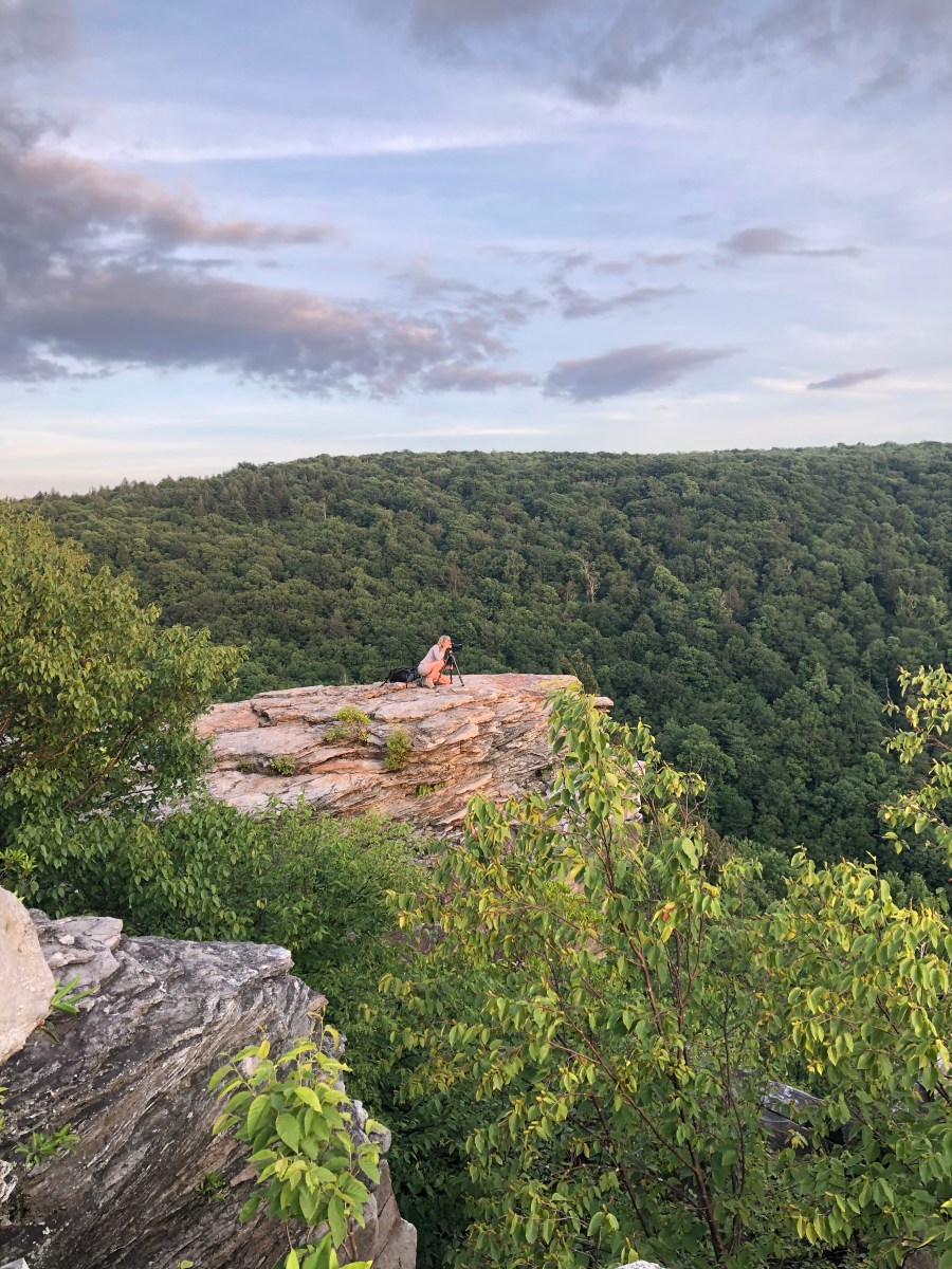 Contact Amy Linn Doherty – Amy Linn Doherty